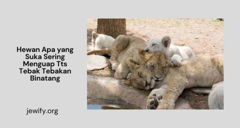 Hewan Apa yang Suka Sering Menguap Tts Tebak Tebakan Binatang - Jewify
