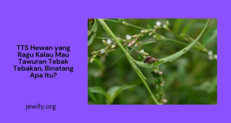 TTS Hewan yang Ragu Kalau Mau Tawuran Tebak Tebakan, Binatang Apa Itu ...