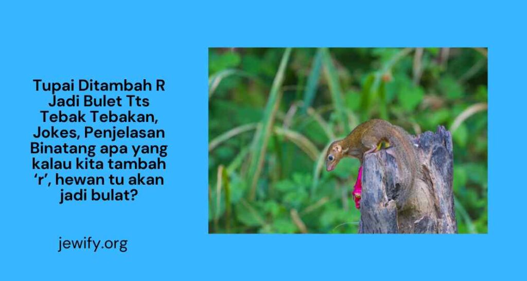 Tupai Ditambah R Jadi Bulet Tts Tebak Tebakan, Jokes, Penjelasan ...